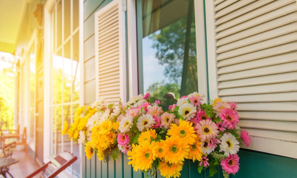 5 Creative Ways To Make Your Windows Stand Out